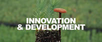 Innovation Development