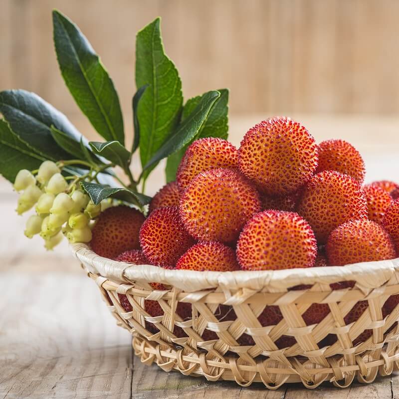Strawberry Tree Fruit Edible
