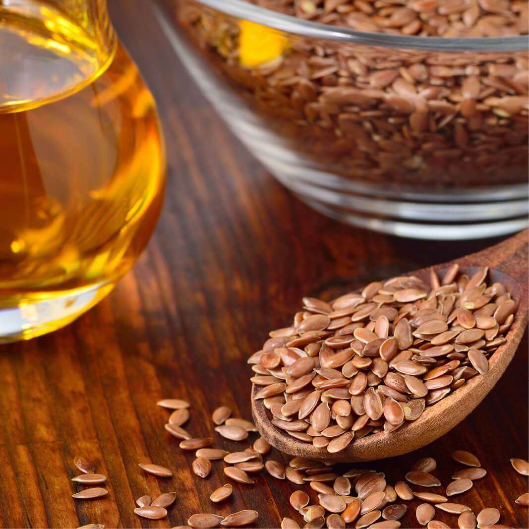 Semillas de Lino - LINUM USITATISSIMUM - The Original Garden