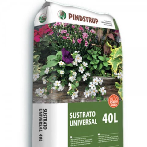 Plants care- The Original Garden