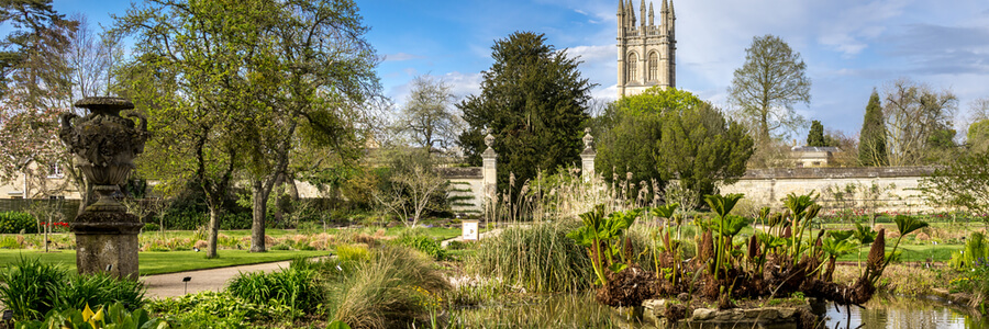 10 jardins botaniques à visiter en ligne